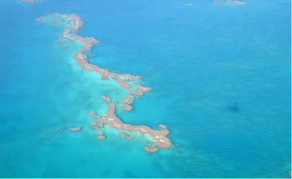 Maps | Reef Knowledge System